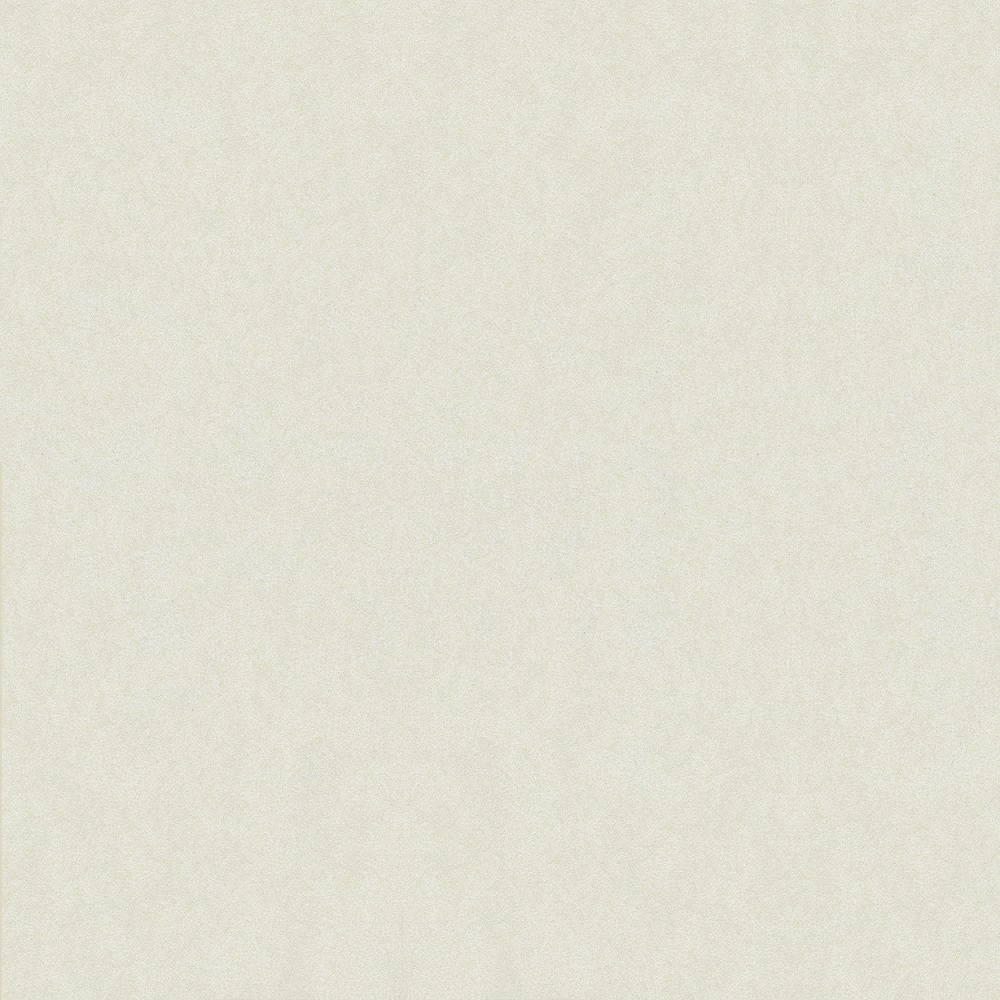 กระเบื้องพื้นและผนัง พอร์ซเลน รุ่น BELGIUM | WDC