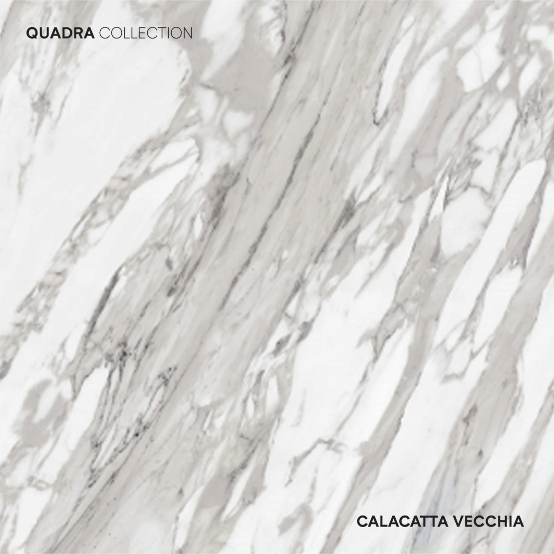 QUADRA COLLECTION | WDC